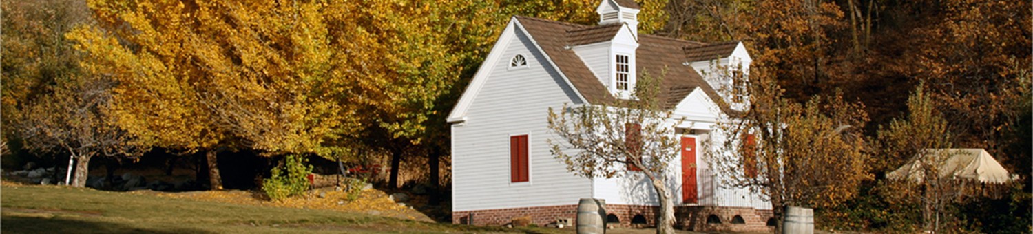 Riley's Farm | Relive History!