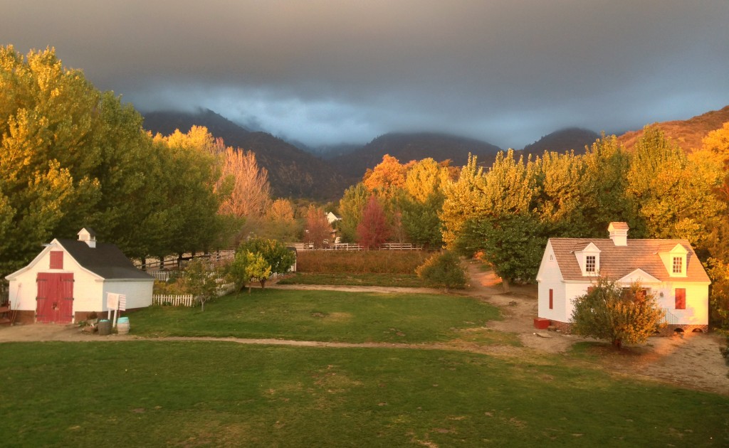 Living in the Real World - Riley's Farm : Riley's Farm