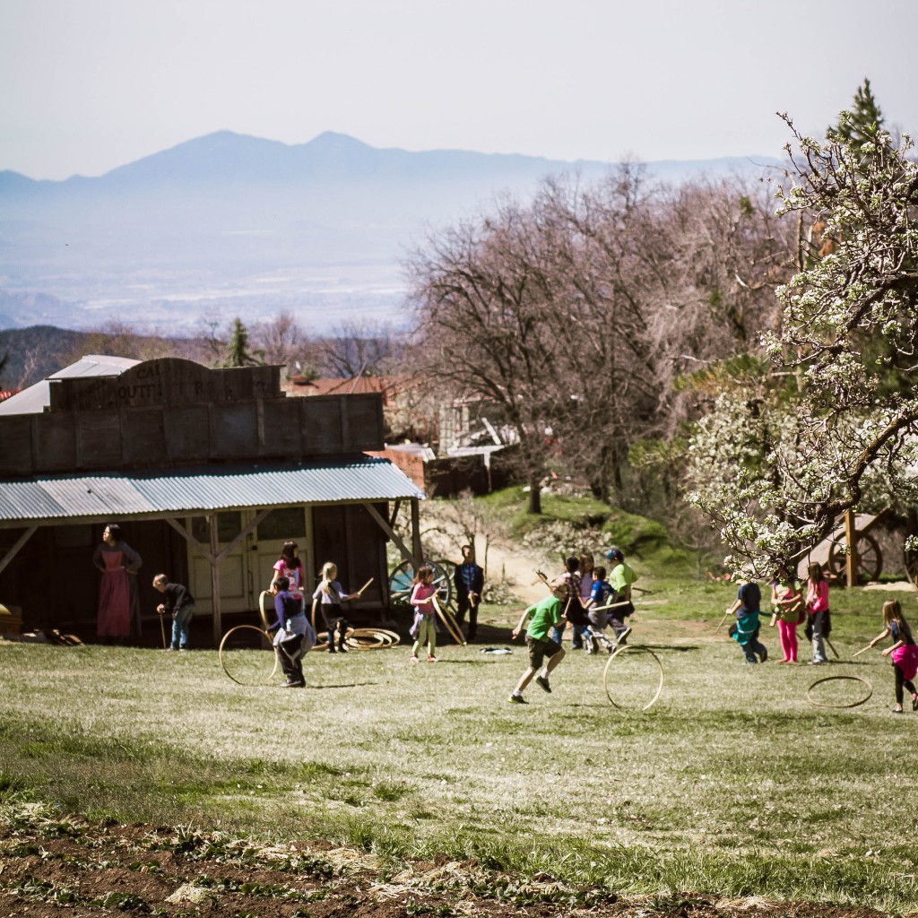 Recreation - Riley's Farm : Riley's Farm