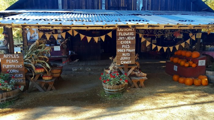 Barn Store Exterior October 2016 - Riley's Farm : Riley's Farm