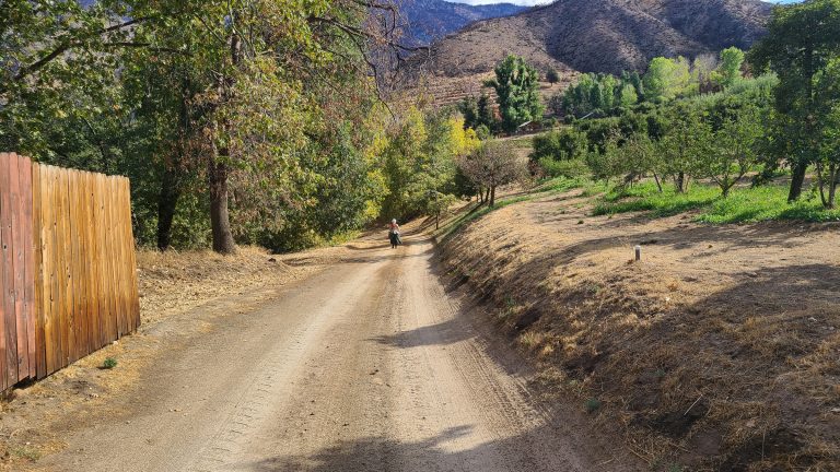 Riley's Farm - Riley's Farm : Riley's Farm