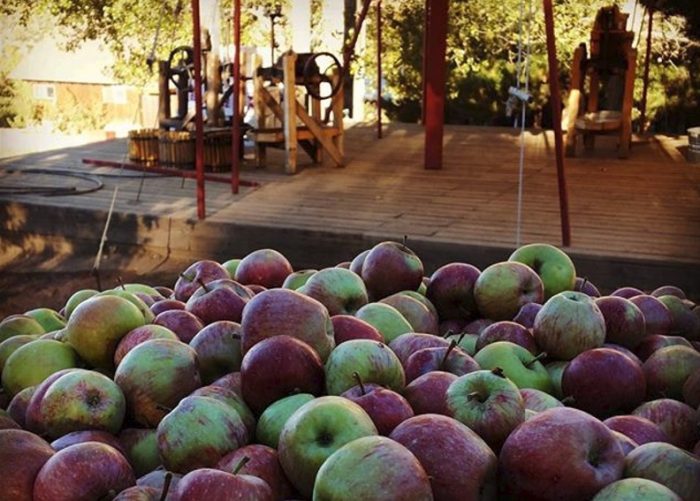 Adventures in the Old World at Riley's Farm - Riley's Farm : Riley's Farm