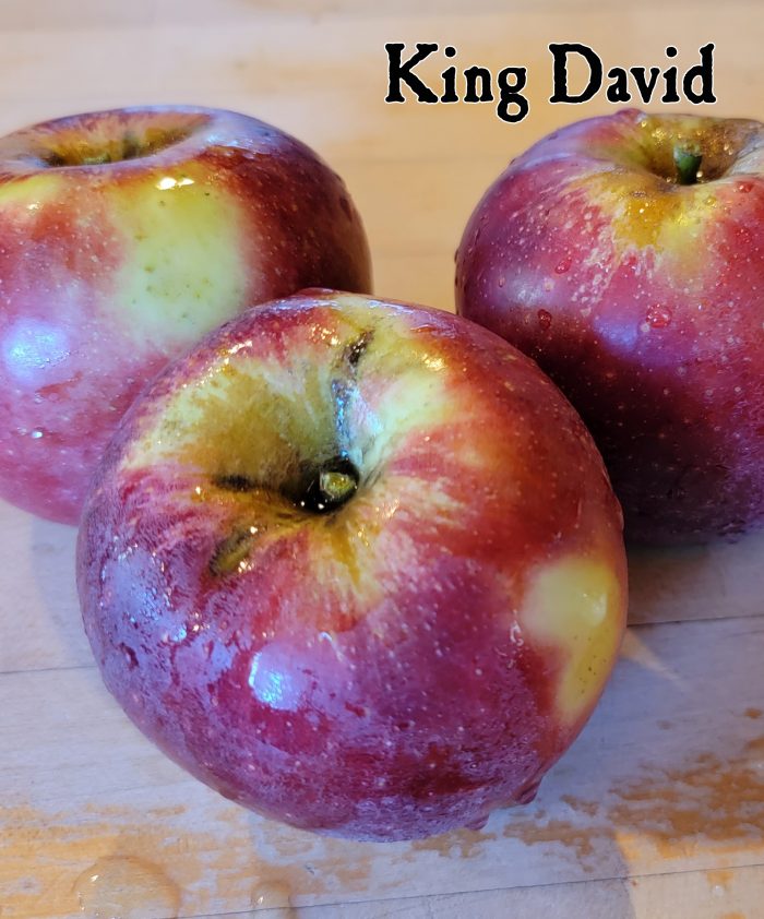 U-Pick - Riley's Farm : Riley's Farm