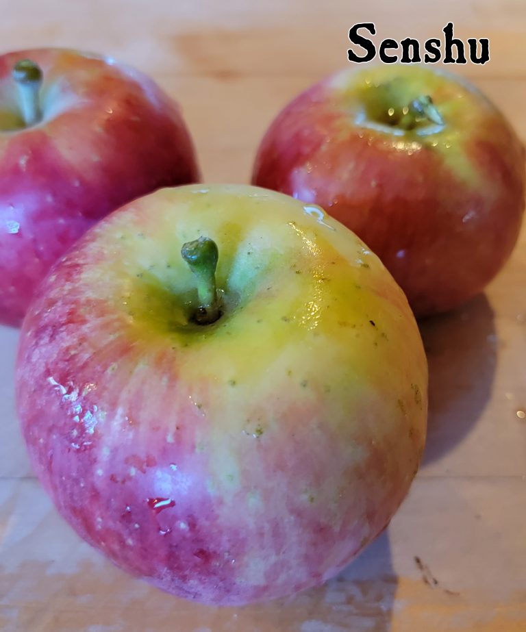 Riley's Farm - Riley's Farm : Riley's Farm