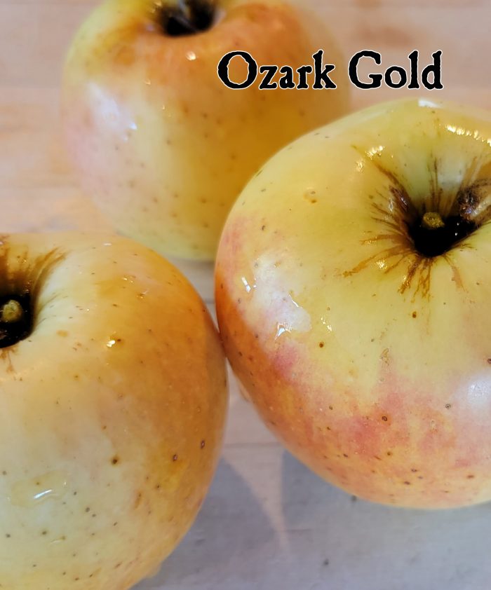 U-Pick - Riley's Farm : Riley's Farm