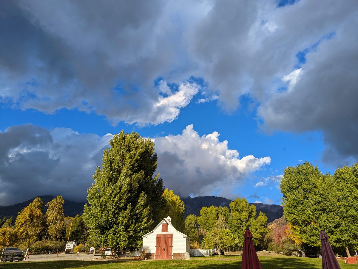 fall_20221102 - Riley's Farm : Riley's Farm