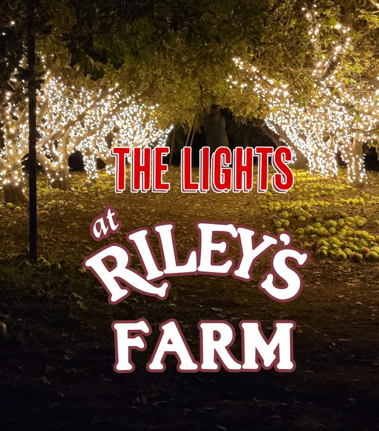 The Lights! - Riley's Farm : Riley's Farm