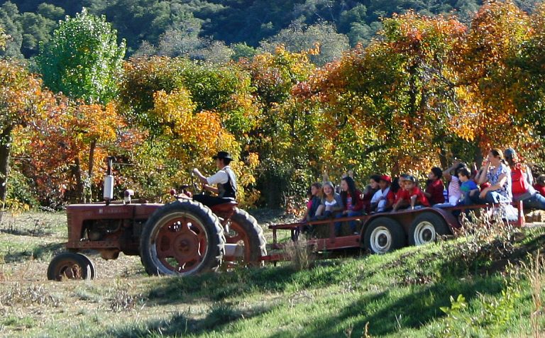 Private Events - Riley's Farm : Riley's Farm